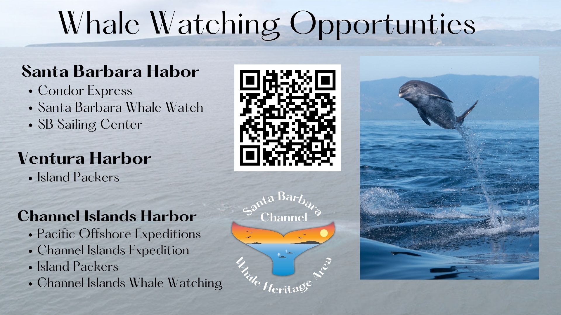 Iconic Encounters in the Santa Barbara Channel Whale Heritage Area ...