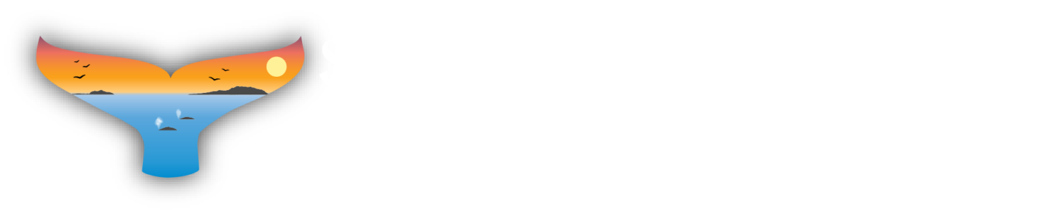 About Santa Barbara Channel and Channel Islands National Park