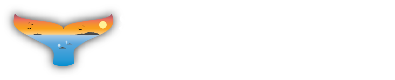 About Santa Barbara Channel and Channel Islands National Park